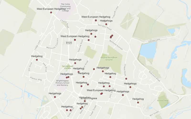 Seen a hedgehog? Record it on the town's interactive map - Read more on ...
